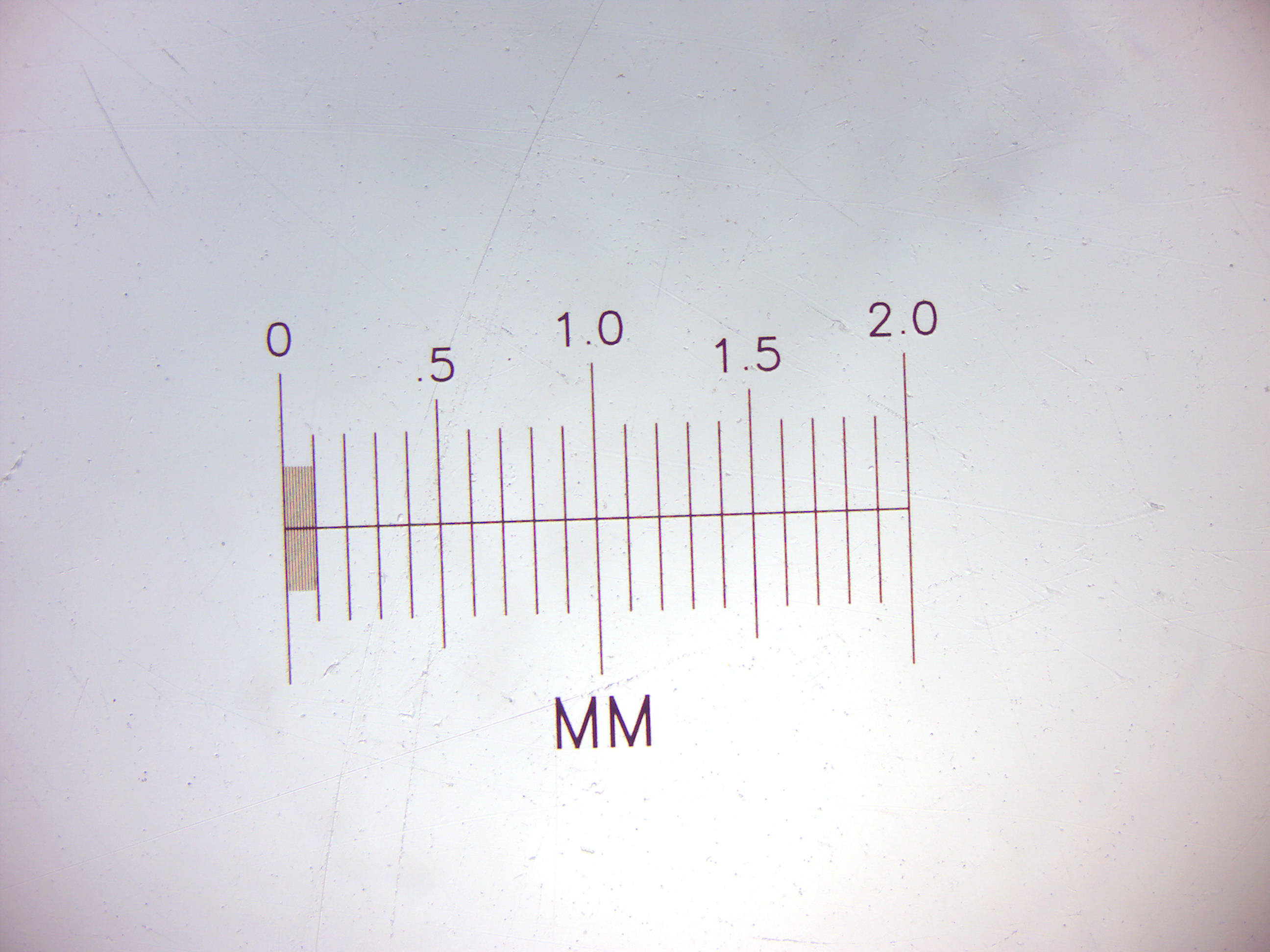 4 The Microscope Laboratory Manual For SCI103 Biology I At Roxbury